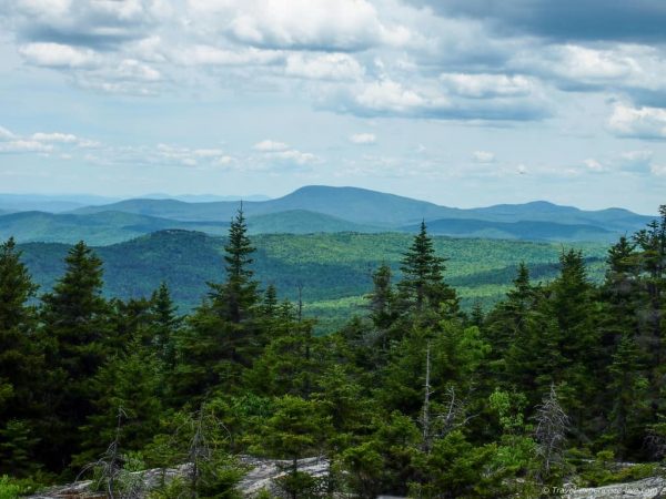 Hiking Mount Cardigan - Travel. Experience. Live.