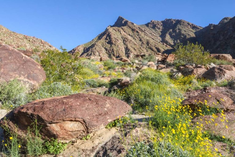 Explore the Southern California Desert Parks on This Epic Road Trip