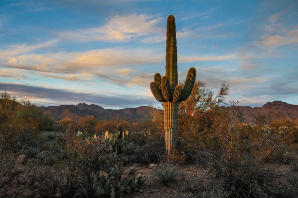 8 Arizona National Parks Road Trip Itinerary | The National Parks ...