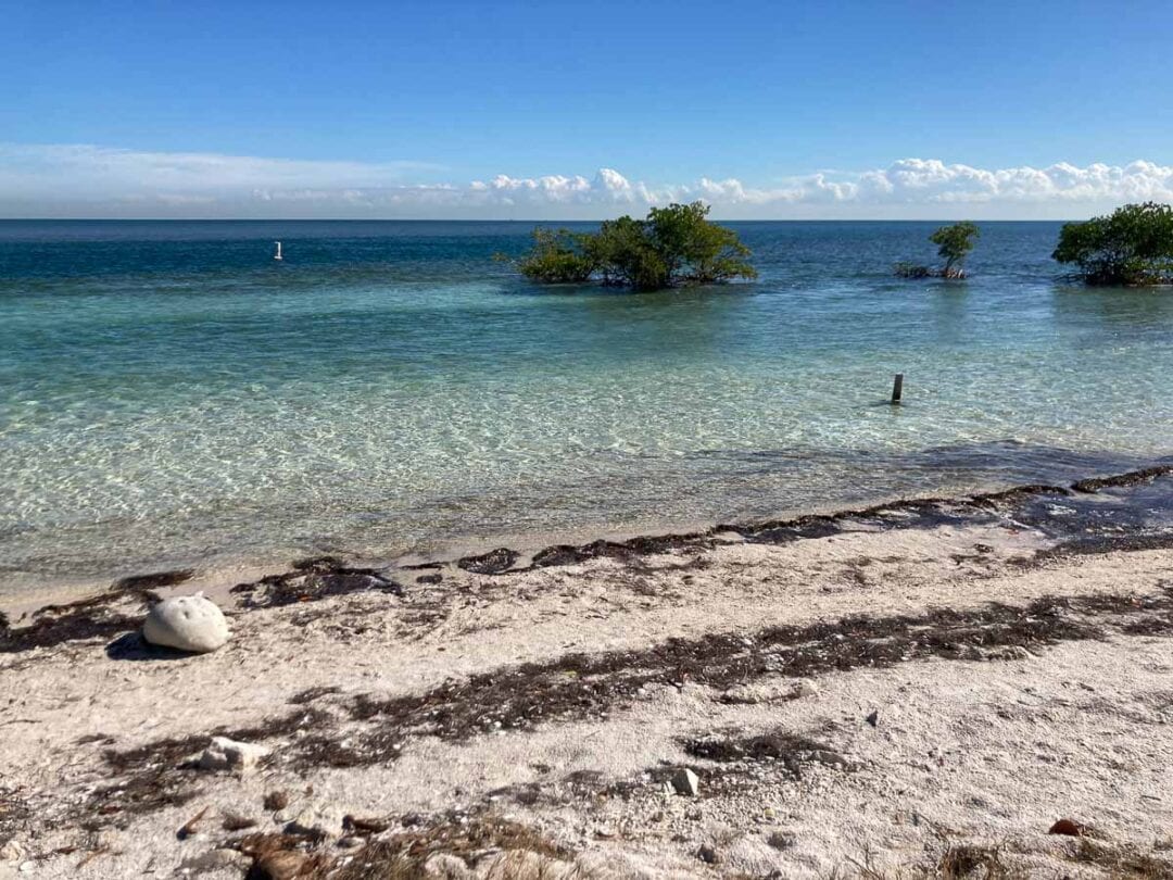 Boca Chita Key: How to Visit the Most Popular Island in Biscayne ...