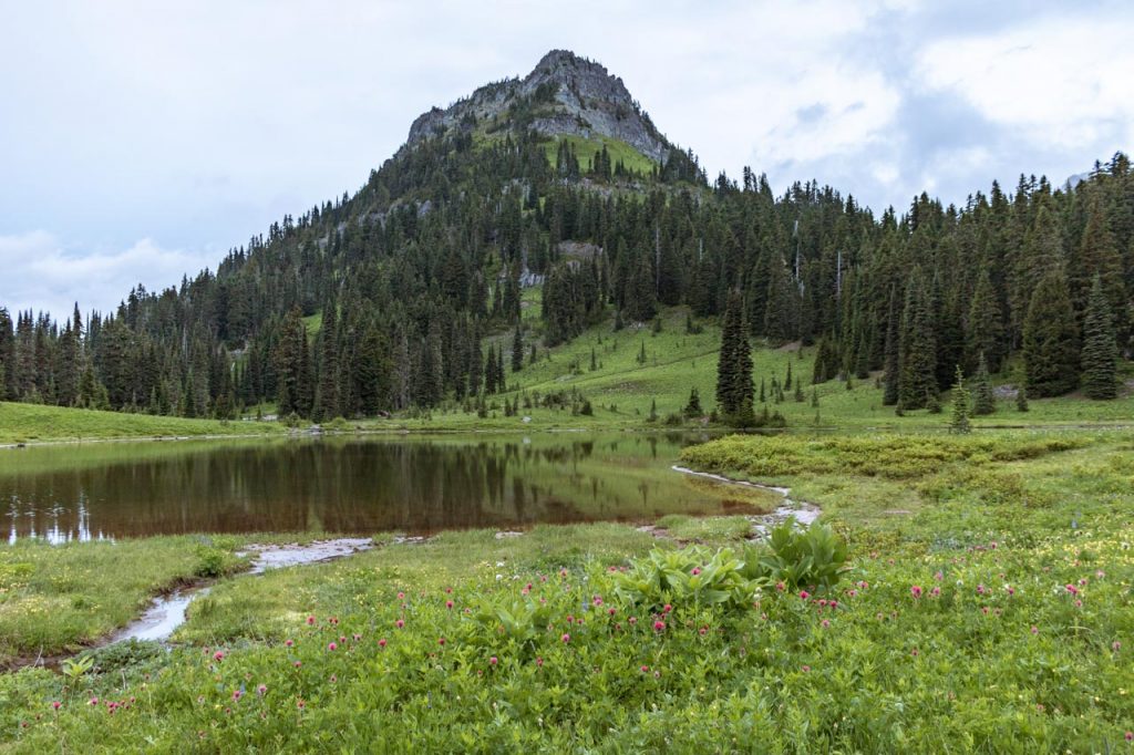 Tipsoo Lake (Mount Rainier National Park) - The National Parks Experience