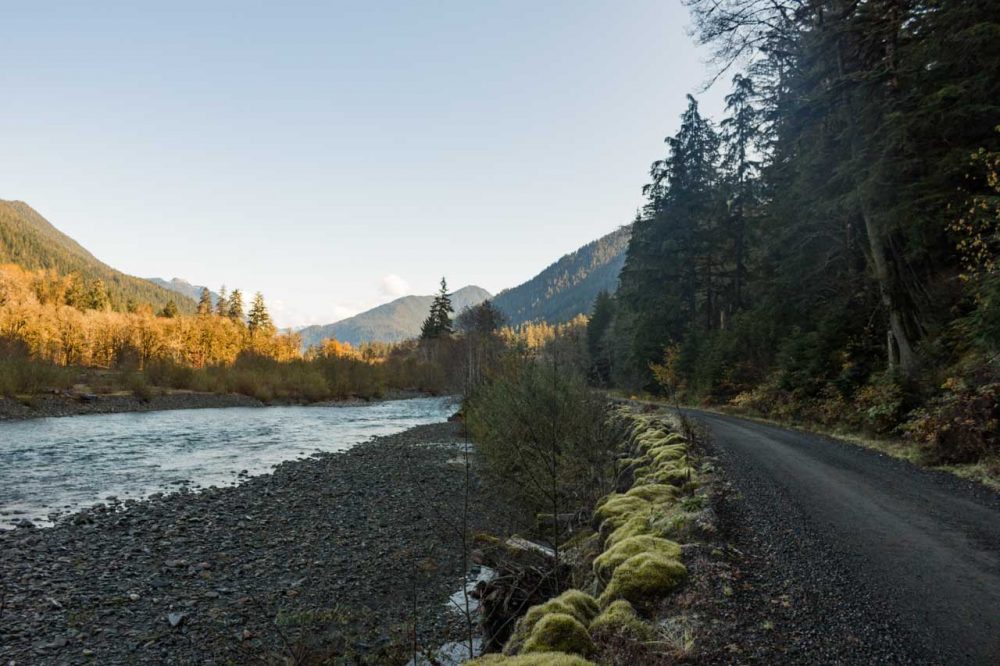 10 Top Things to Do at Lake Quinault, Washington | National Parks Blog