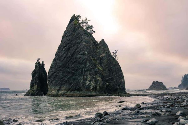 Pacific Northwest National Parks Road Trip: 14 National Parks ...
