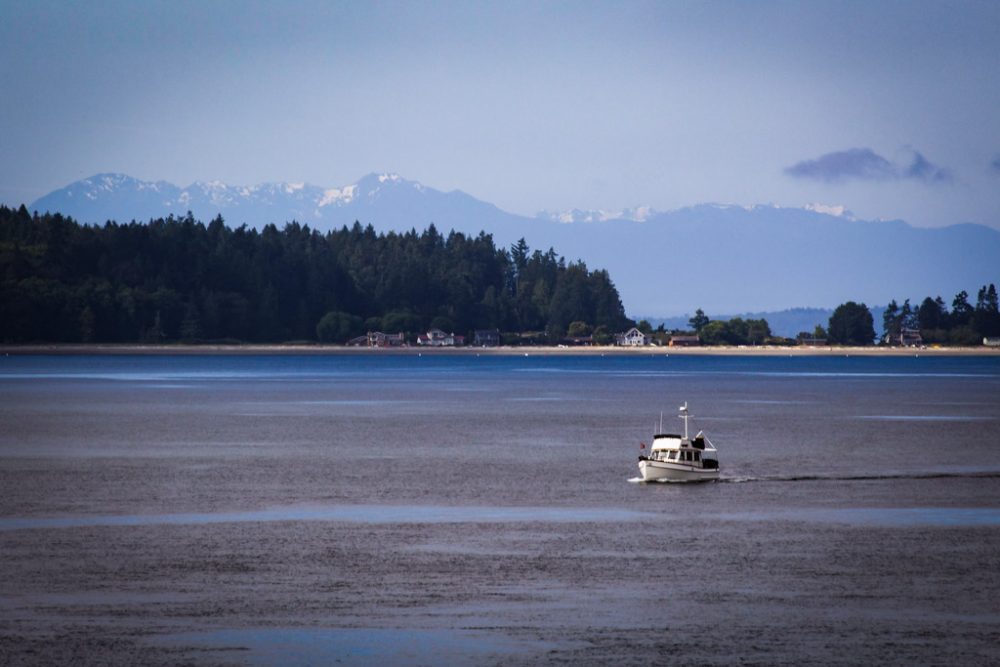 Pacific Northwest National Parks Road Trip: 14 National Parks ...