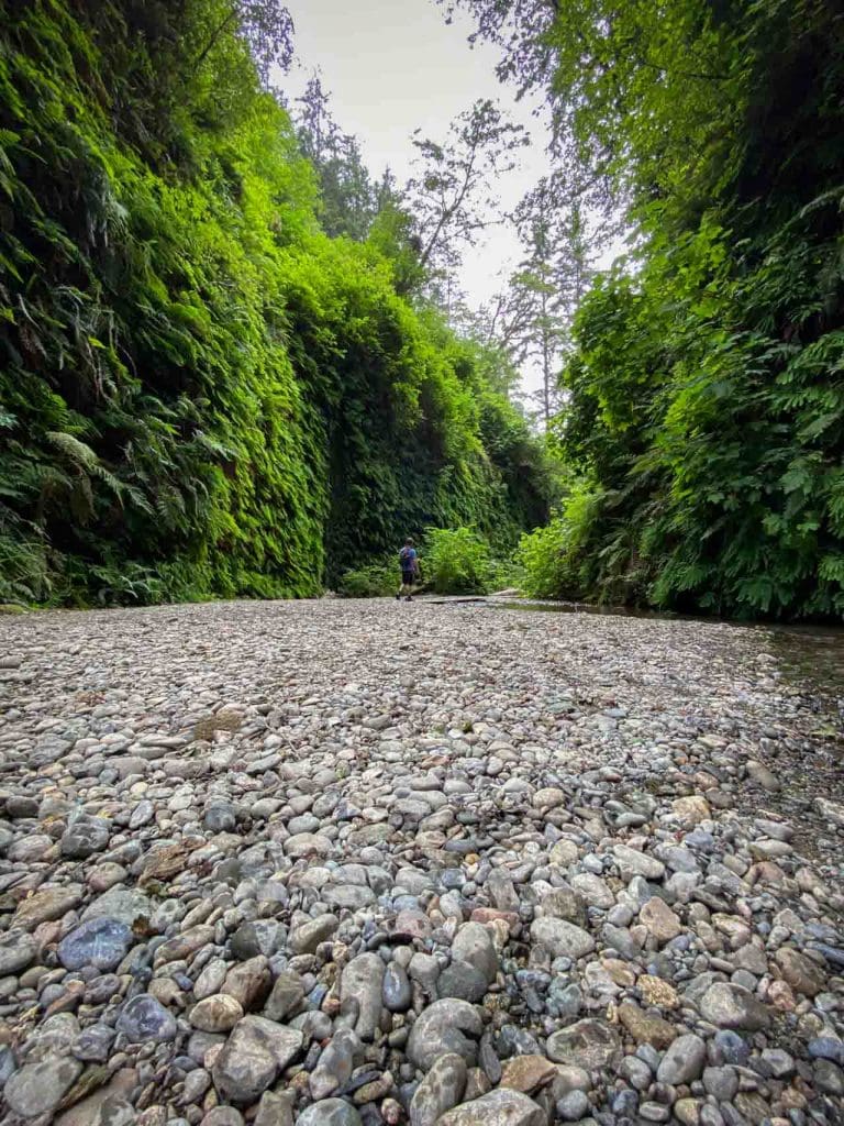 Gold Bluffs Beach / Fern Canyon Permit Required for Redwood NSP Areas ...
