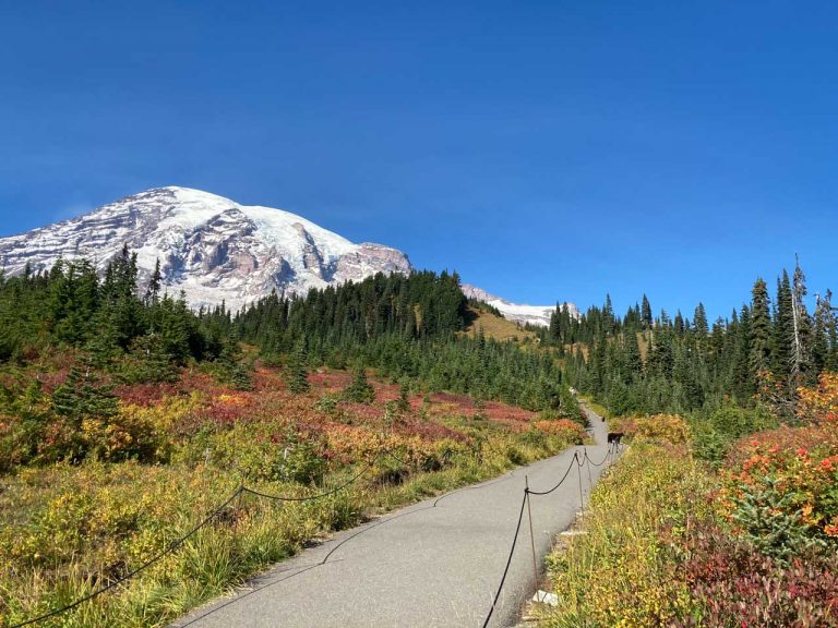 9 Fun Activities to Enjoy Mount Rainier Fall Colors - The National ...