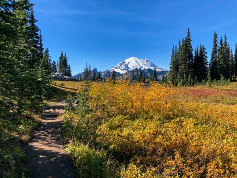 Top 10 Easy Hikes in Mount Rainier National Park - The National Parks ...