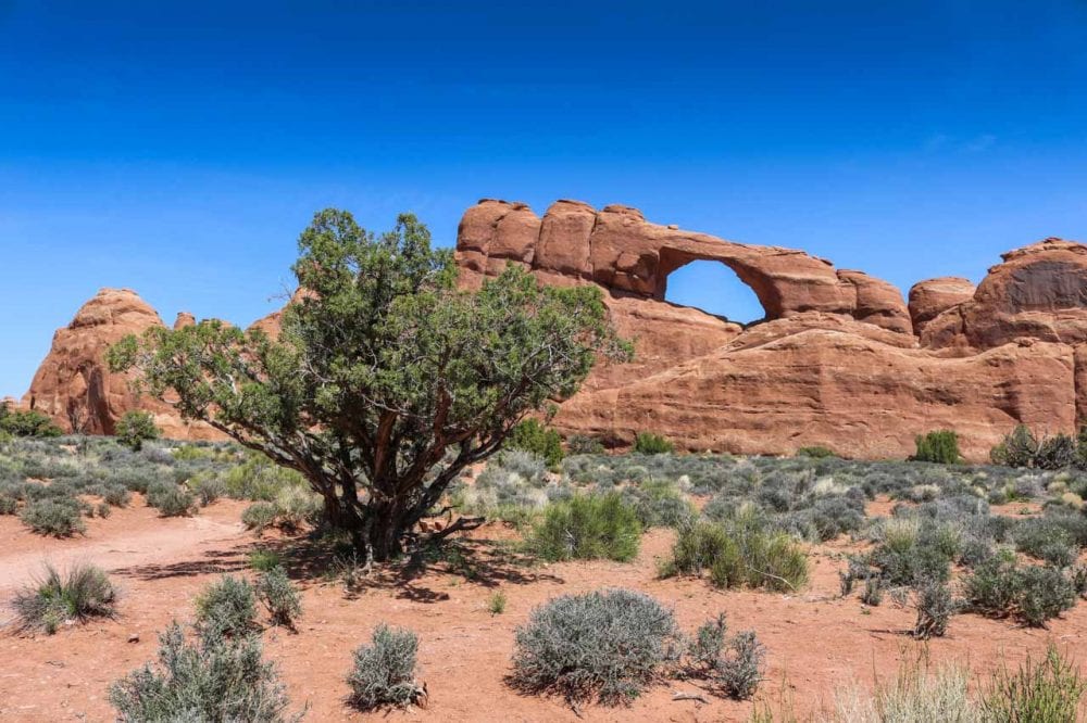 Top 15 Most Spectacular Arches in Arches National Park - The National ...