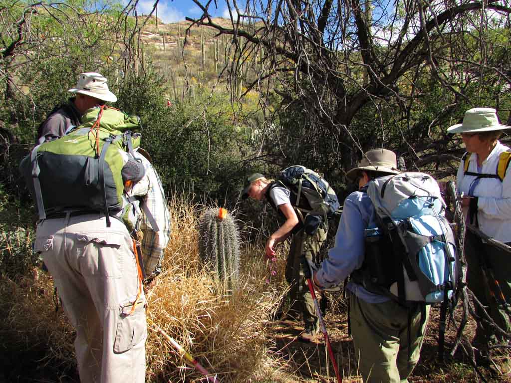 3 Ways You Can Contribute to National Parks Management - The National ...