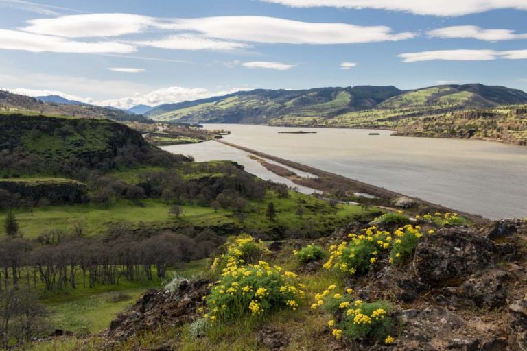 6 Best Columbia River Gorge Wildflower Hikes - The National Parks ...