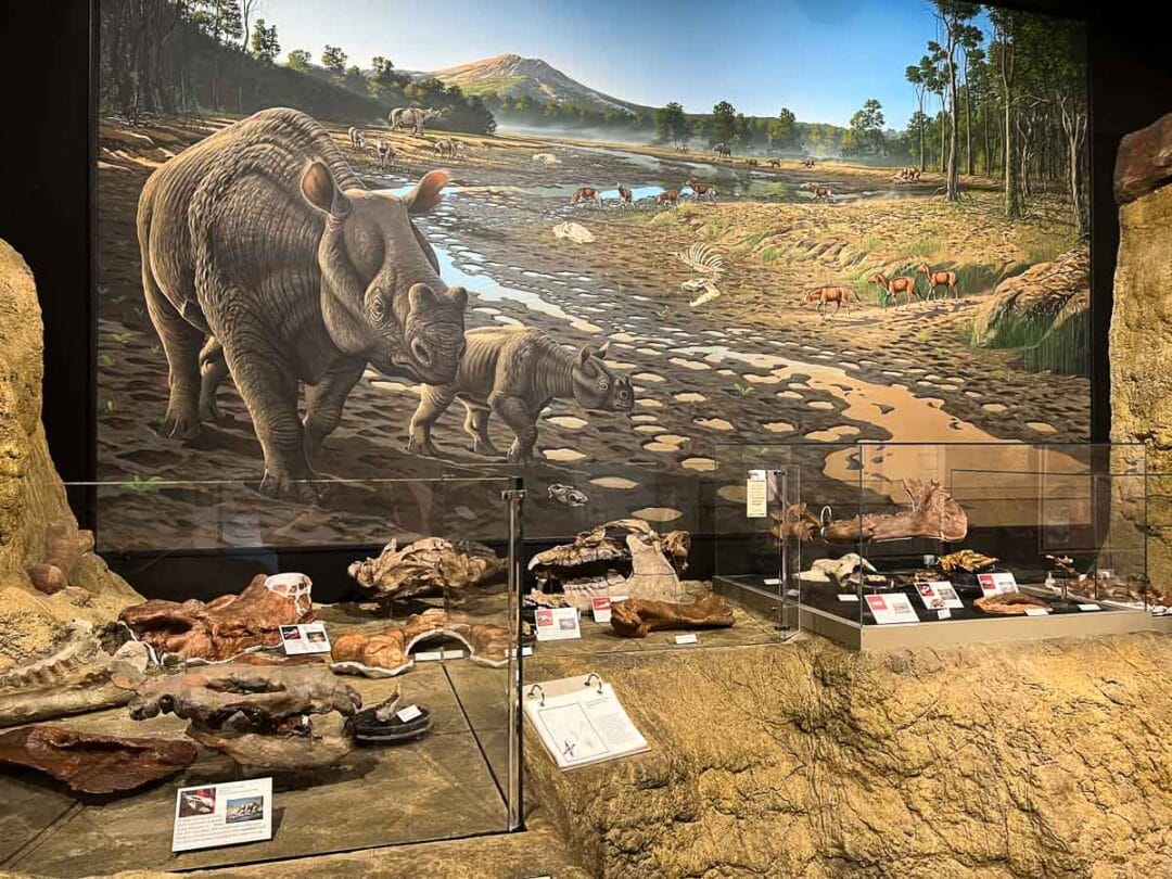 10 Best National Parks With Fossils & Dinosaurs - The National Parks ...