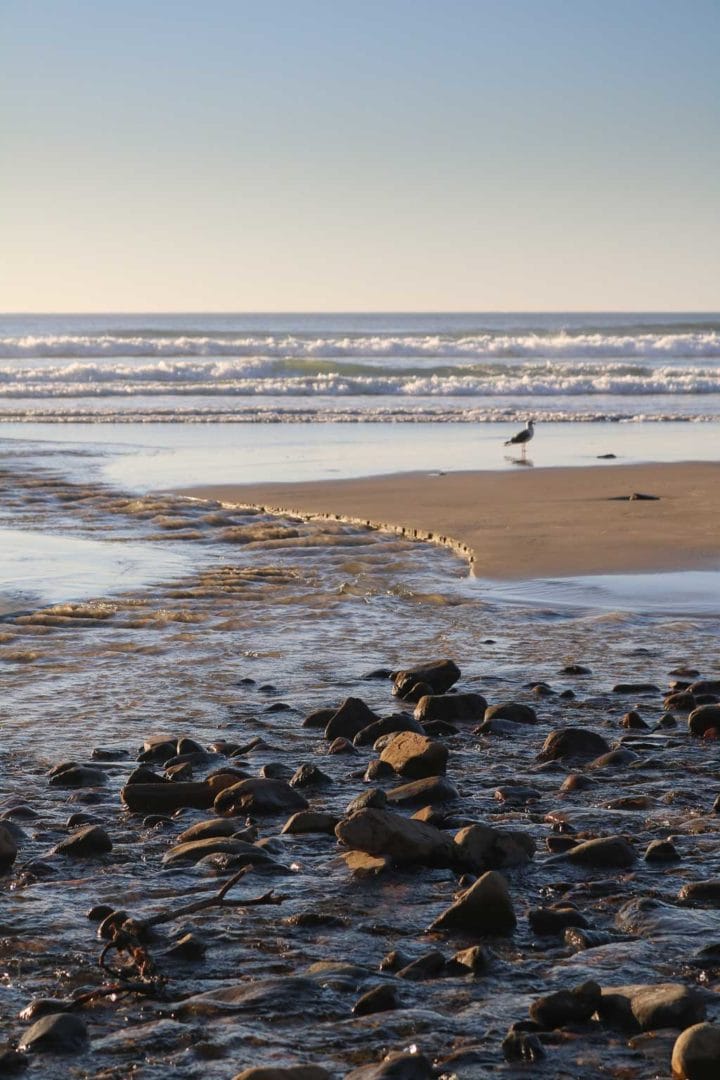 Top 13 Coolest State Parks in Oregon - The National Parks Experience