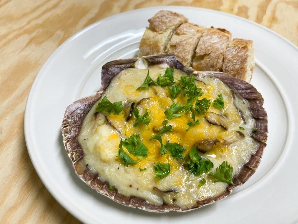 White Fish Gratin in Seashells Recipe (Glacier Bay National Park) - The ...