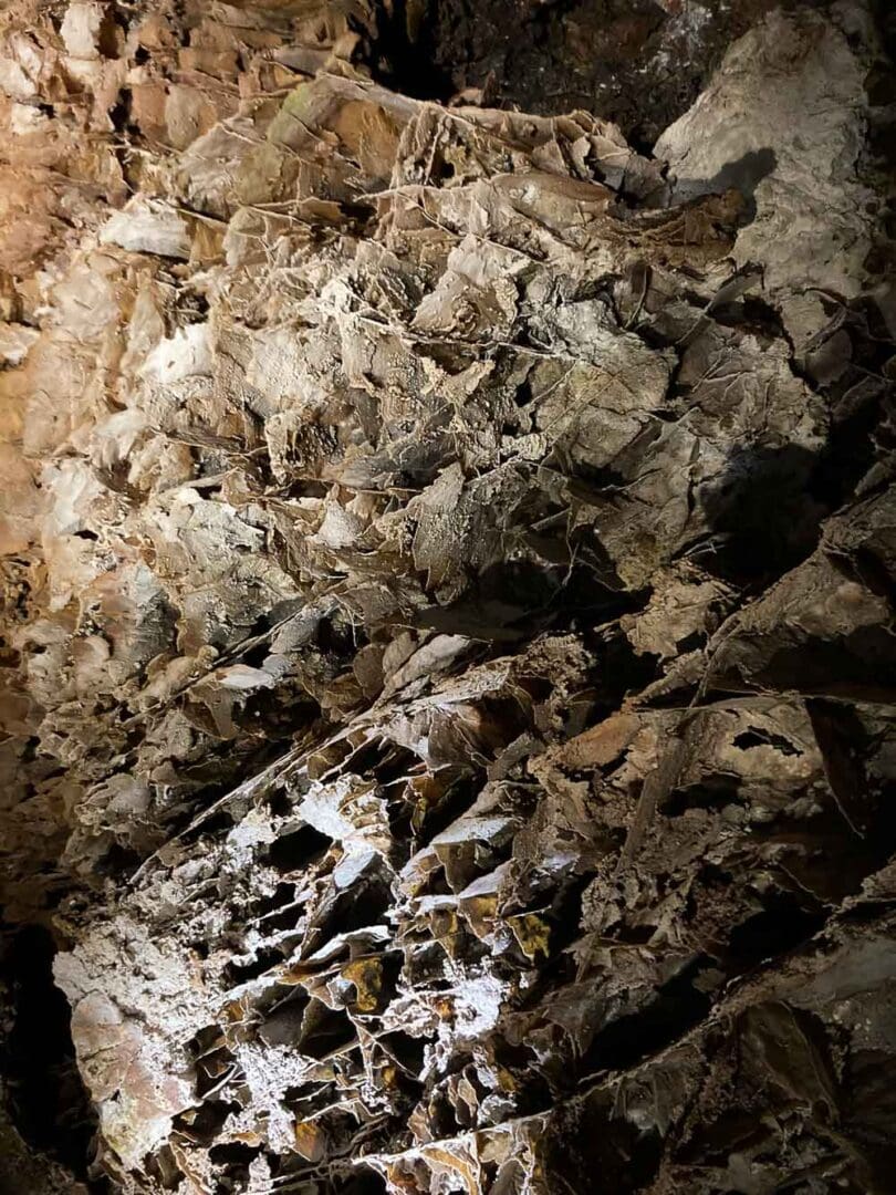11 Essential Things to Do in Wind Cave National Park - The National ...