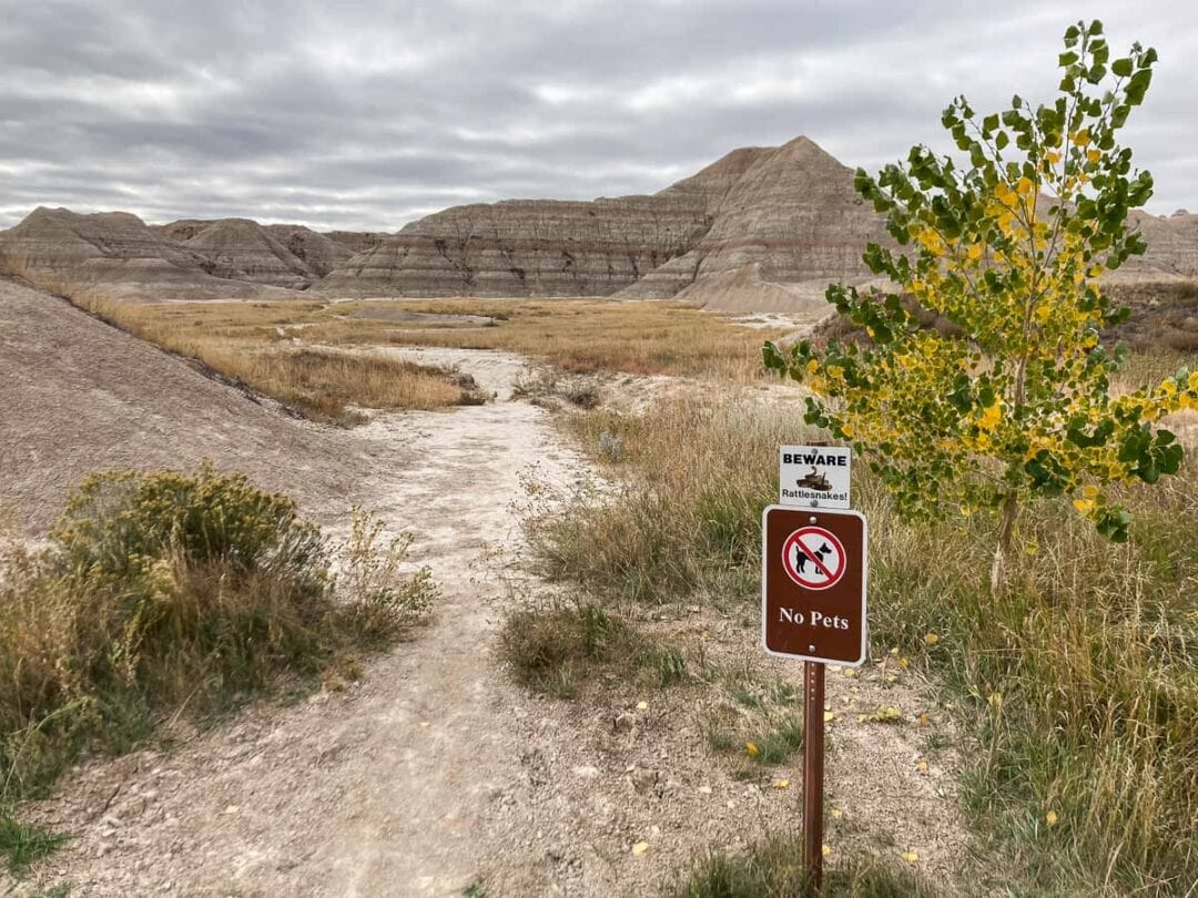 5 Best Places to See Wildlife in Badlands National Park - The National ...