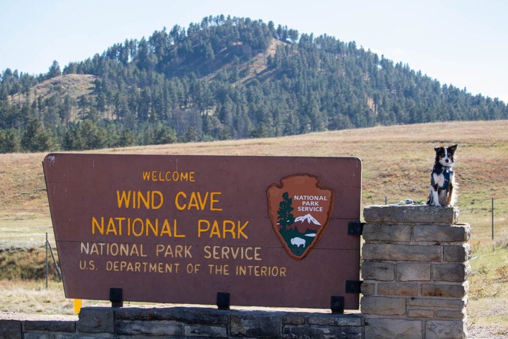 Visiting Wind Cave National Park With Your Dog: FAQ & Activities - The ...