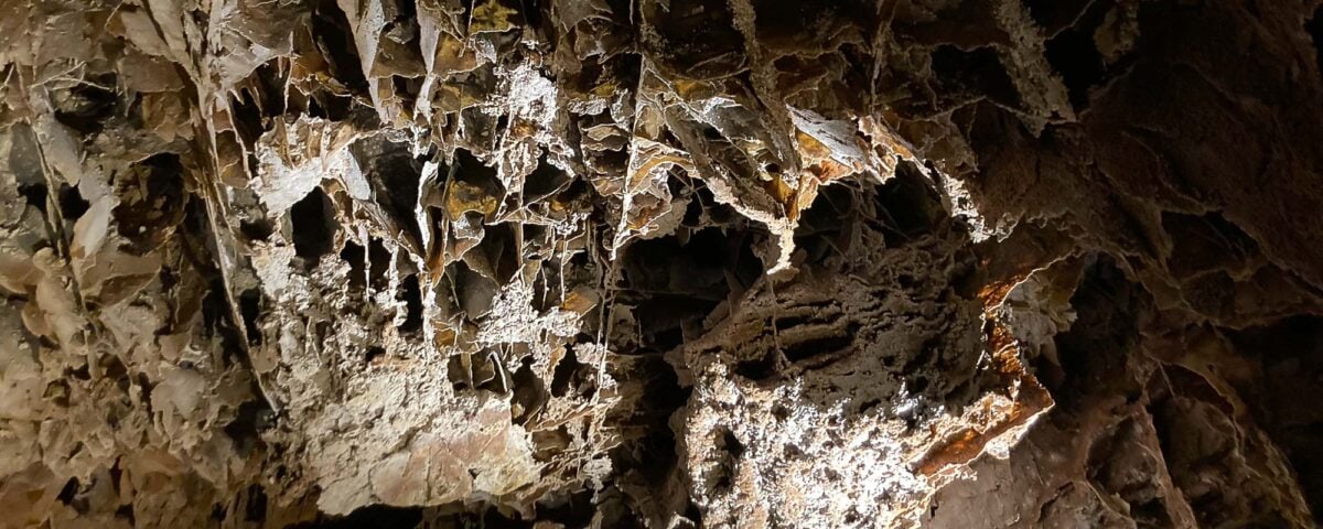 Wind Cave National Park, South Dakota - The National Parks Experience