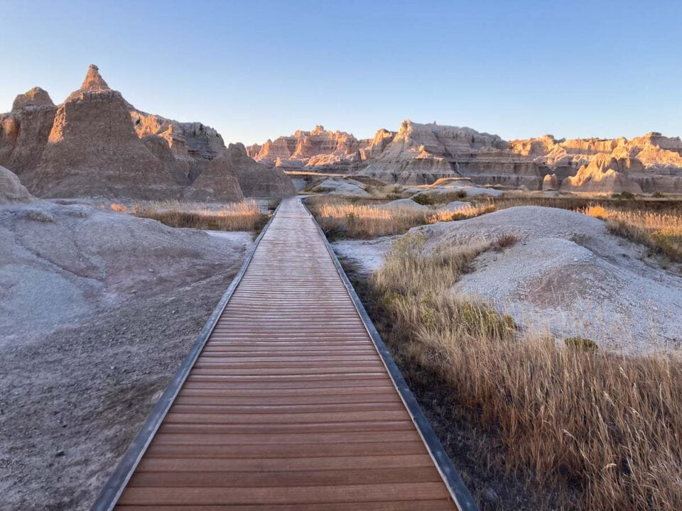 10 Best National Parks With Fossils & Dinosaurs - The National Parks ...