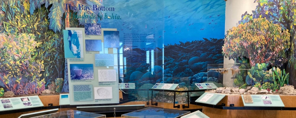 Biscayne National Park, Florida - The National Parks Experience