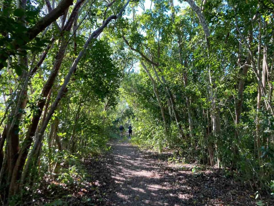 Biking in the Everglades: 3 Best Bike Trails in Everglades National Park