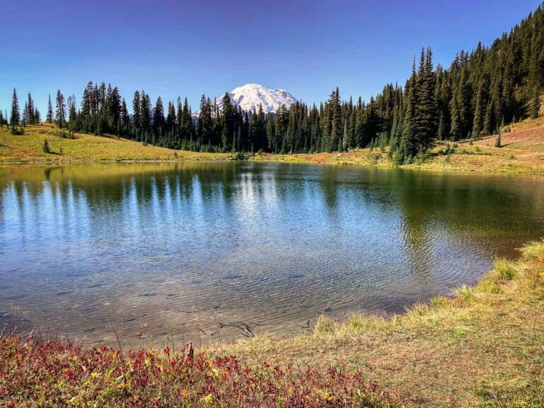 Tipsoo Lake (Mount Rainier National Park) - The National Parks Experience