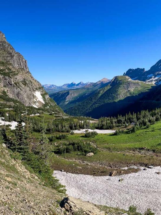 Where to See Bison in Wind Cave National Park - The National Parks ...