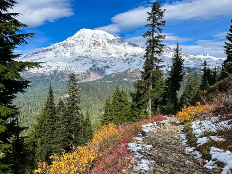 10 Best Places for Epic Views of Mount Rainier (Within the National ...