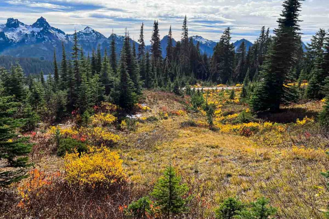 Fall Foliage Map 2024: Prediction of Fall Colors Across America - The ...