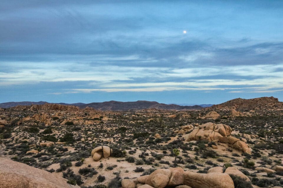 Top 10 Best Scenic Views in Joshua Tree National Park - The National ...