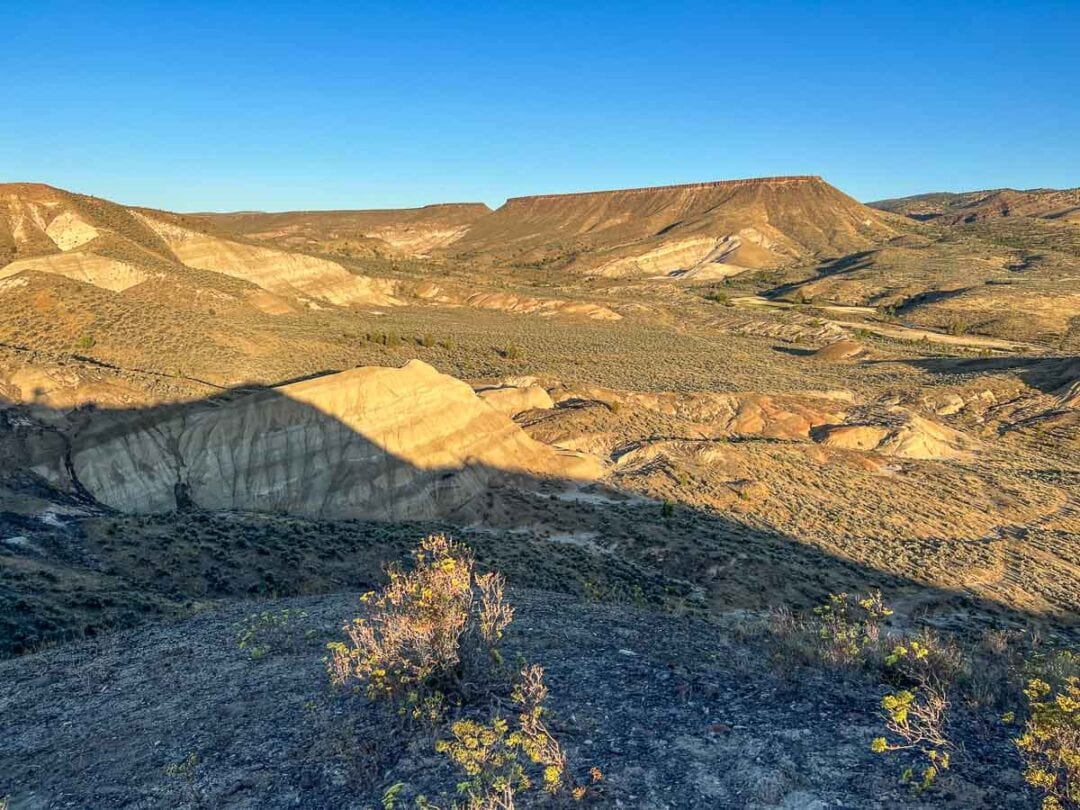 10 Best Things to See and Do at Sheep Rock Unit, John Day Fossil Beds ...
