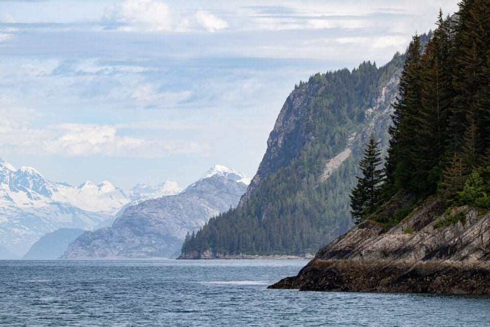 Top 5 National Parks With Orcas (Killer Whales) - National Parks Experience